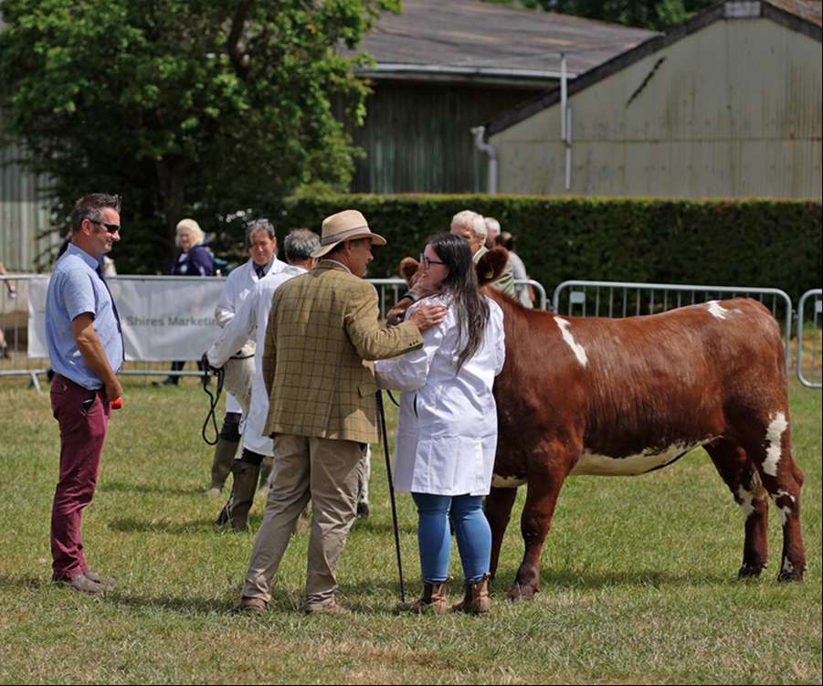 Cattle – Royal Cheshire Show