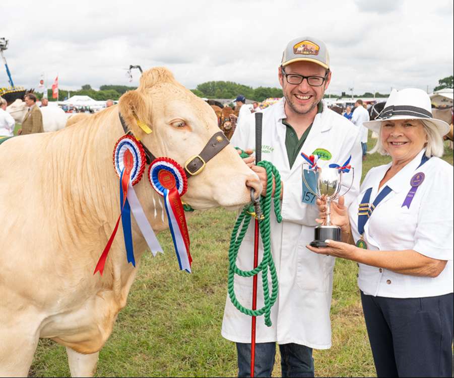 Cattle – Royal Cheshire Show