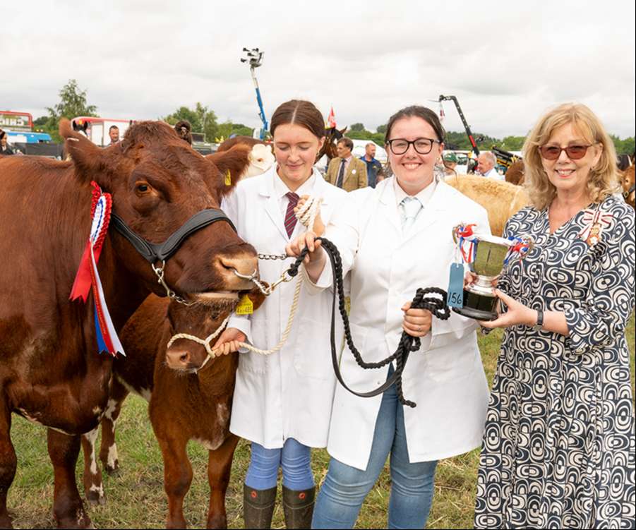 Cattle – Royal Cheshire Show