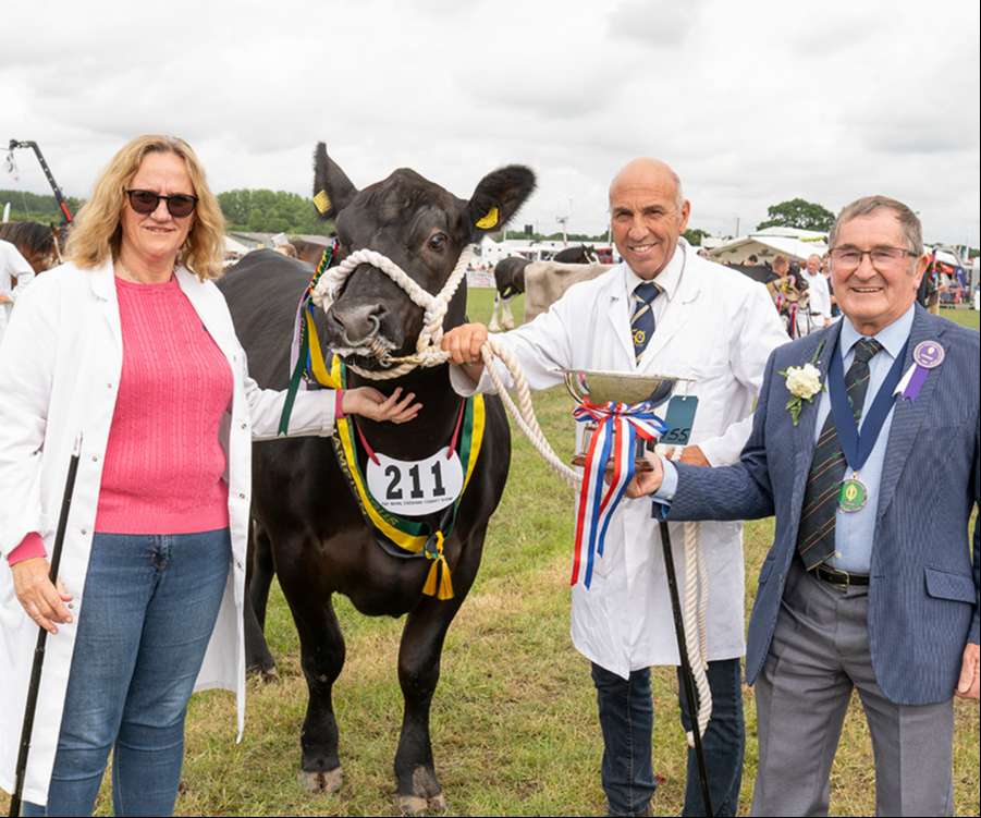 Cattle – Royal Cheshire Show