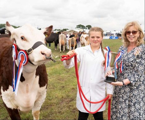 Cattle – Royal Cheshire Show
