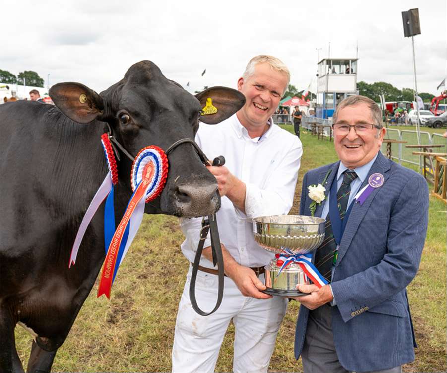 Cattle – Royal Cheshire Show