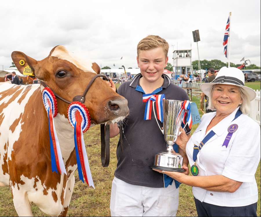 Cattle – Royal Cheshire Show