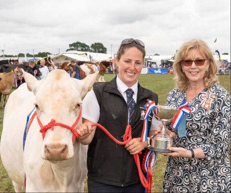 Cattle – Royal Cheshire Show