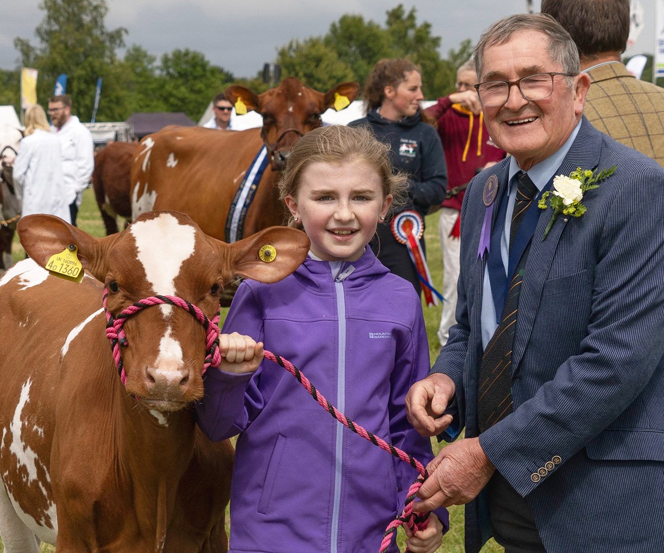 Cattle – Royal Cheshire Show