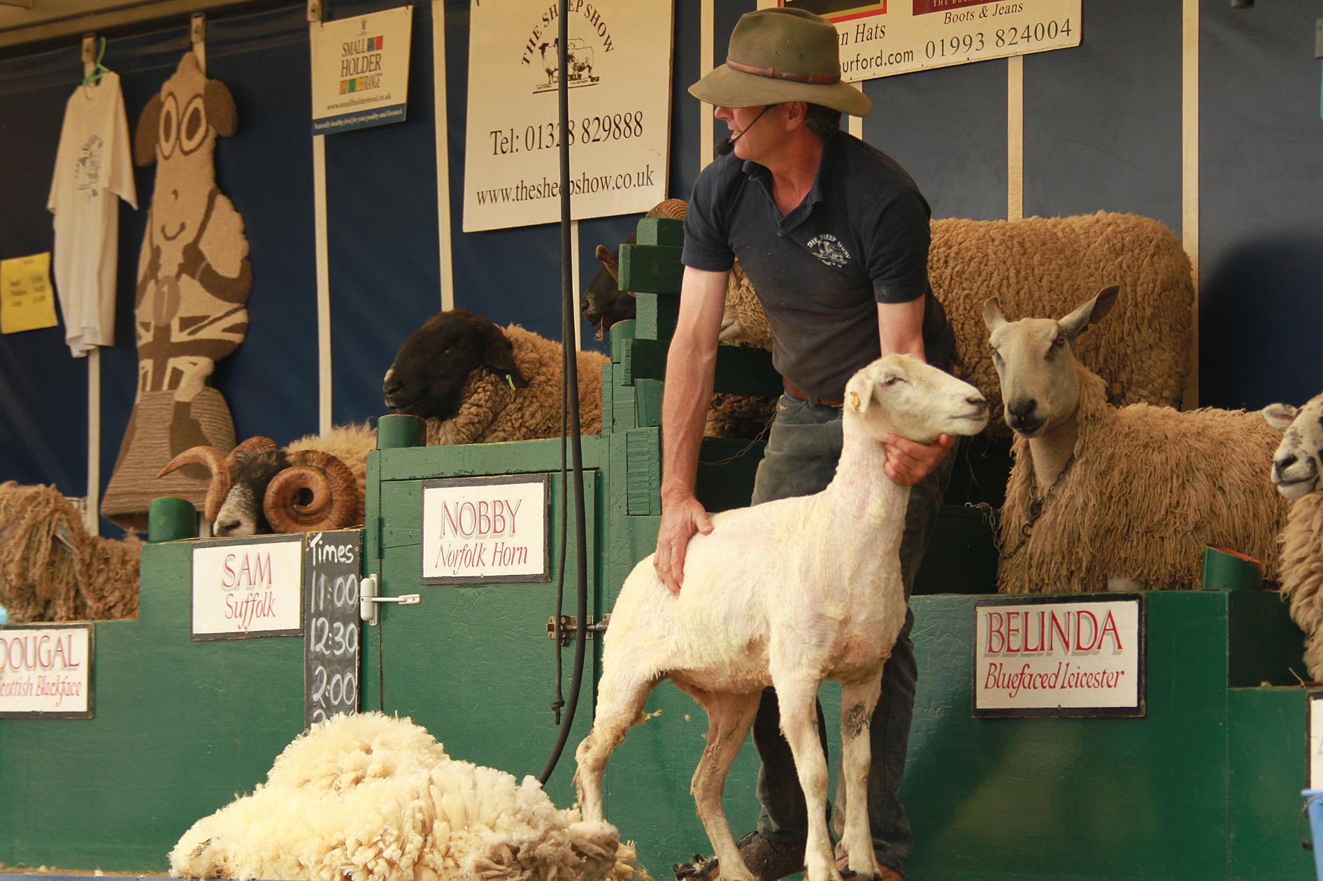 The Sheep Show – Royal Cheshire Show