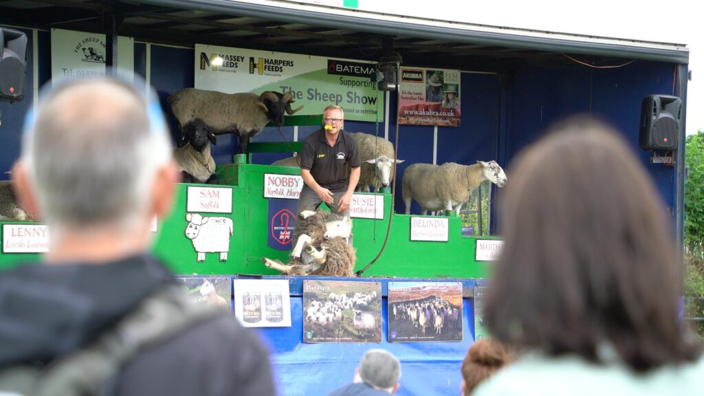 The Sheep Show – Royal Cheshire Show