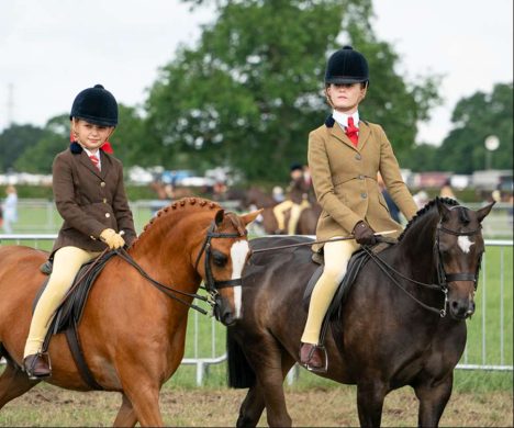 Light Horses – Royal Cheshire Show